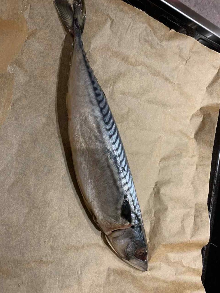 Ganze Makrele im Ofen gegart