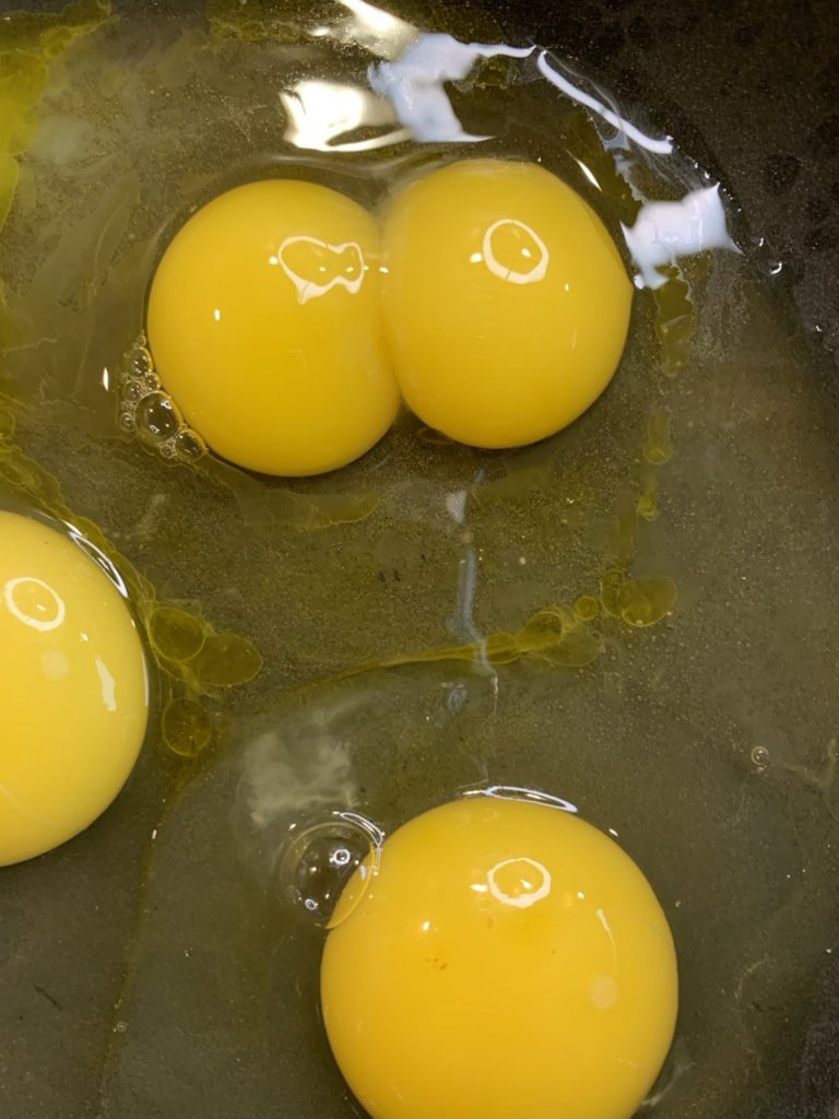 2 Eigelb in einem Ei - essbar? - Aufklärung