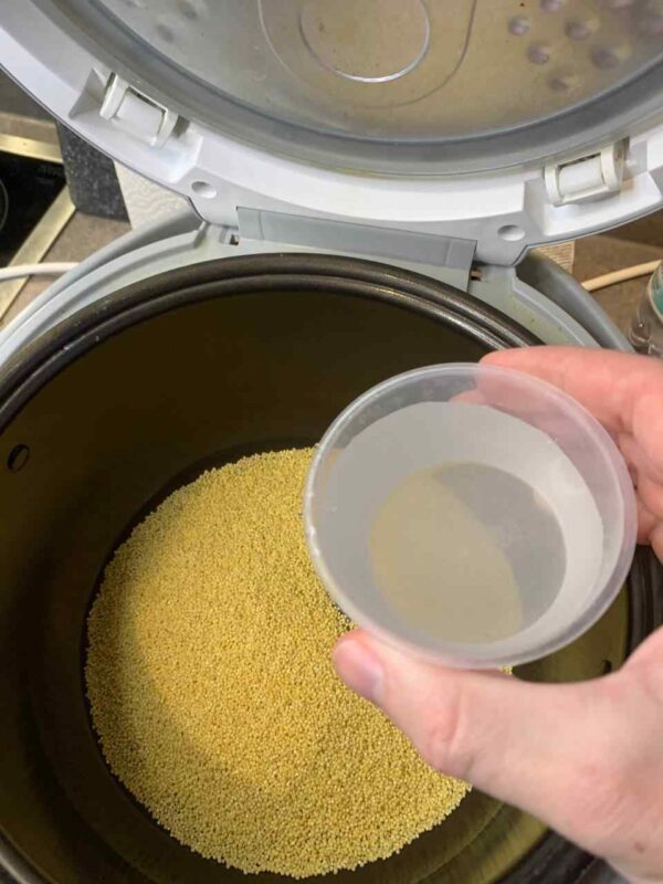 Hirse im Reiskocher kochen - Anleitung & Tipps