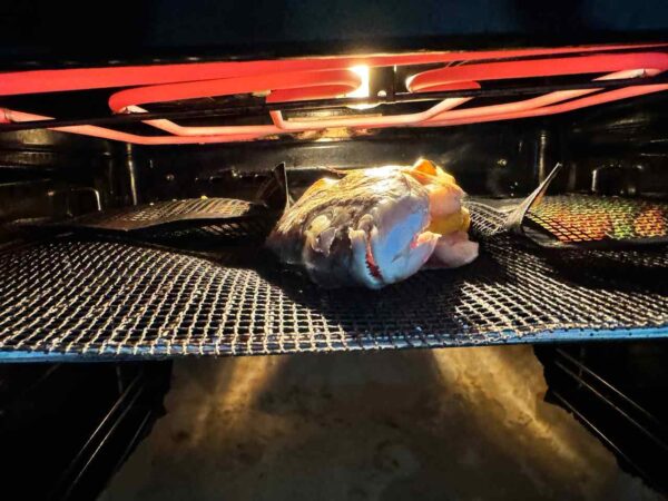 Dorade im Ofen grillen