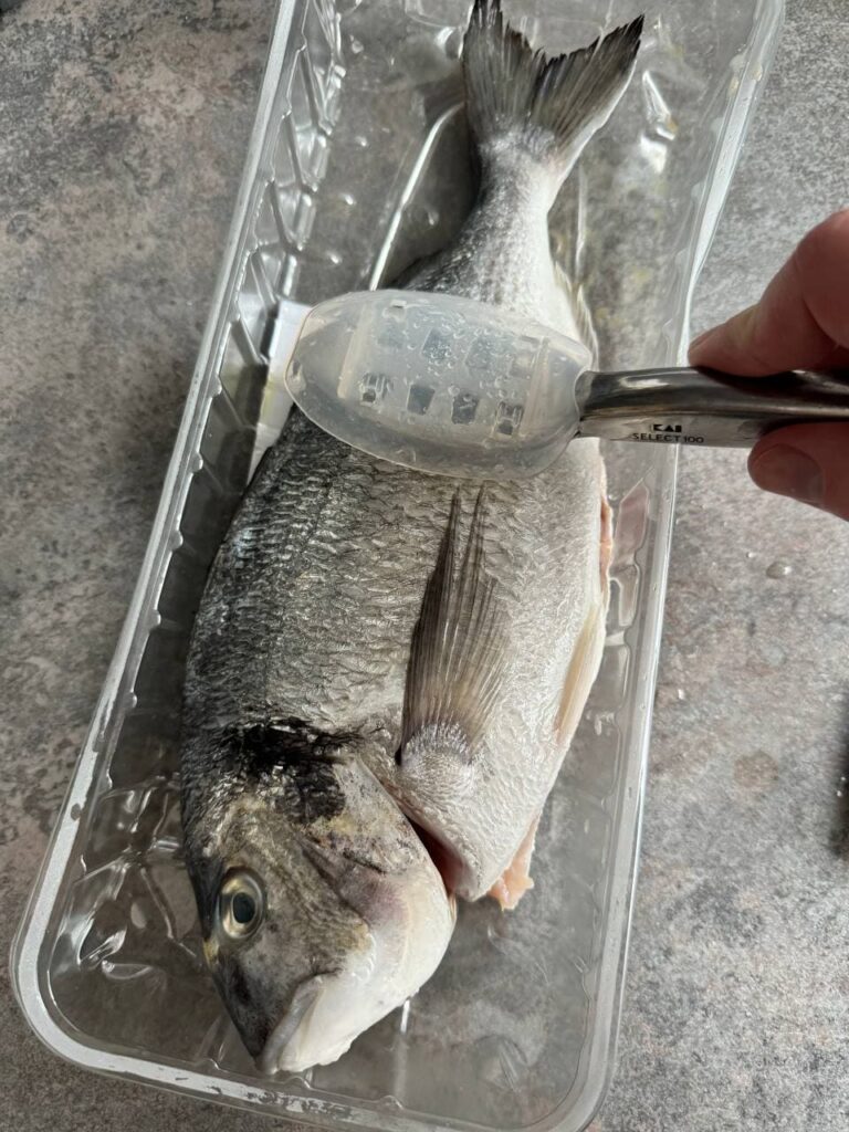 Dorade im Ofen grillen